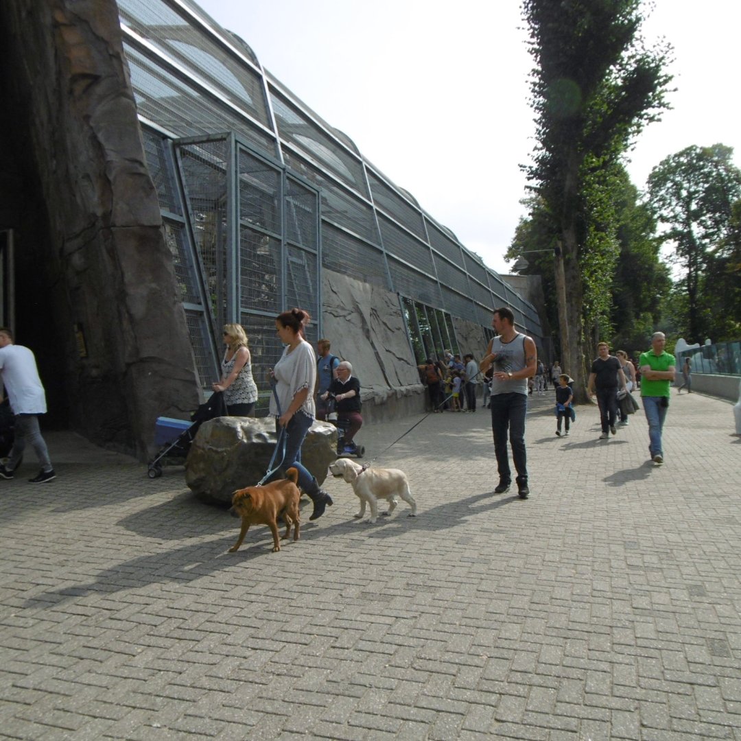 Ouwehands Dierenpark in Rhenen – Dagje weg, hond mee 🐕