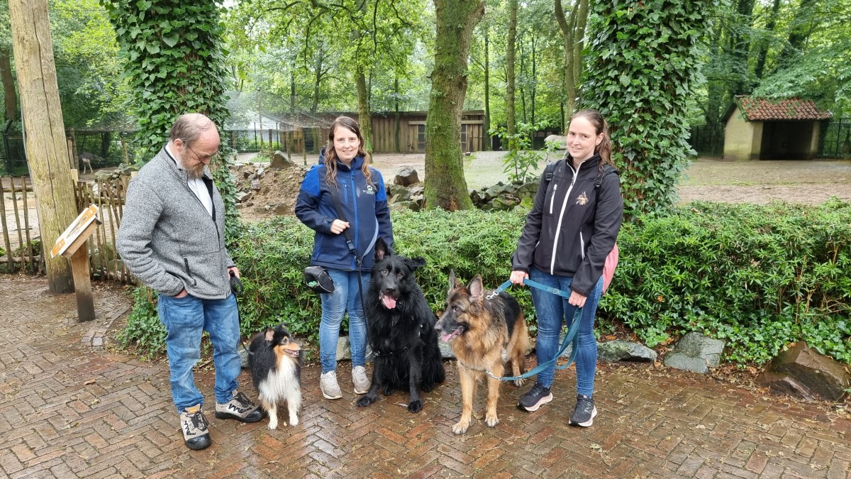 Ouwehands Dierenpark – hond ontmoet panda’s en koala’s – Dagje weg ...